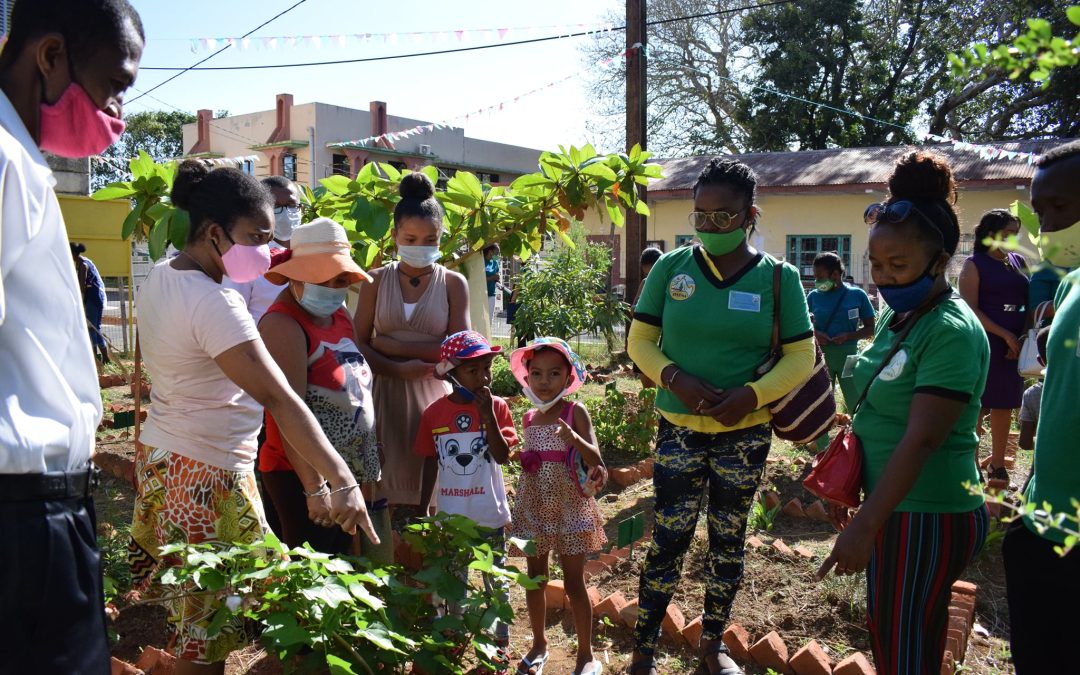 jardin chupka 2 - Jardins du Monde